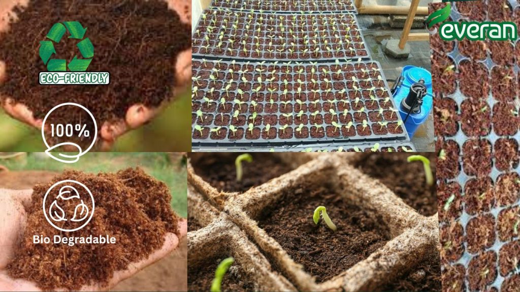 Coco Coir Seed Starting | Coco Coir Products - Factorys Depot